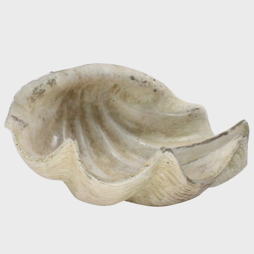 Cement Cast Clam Shell – Spellcraft